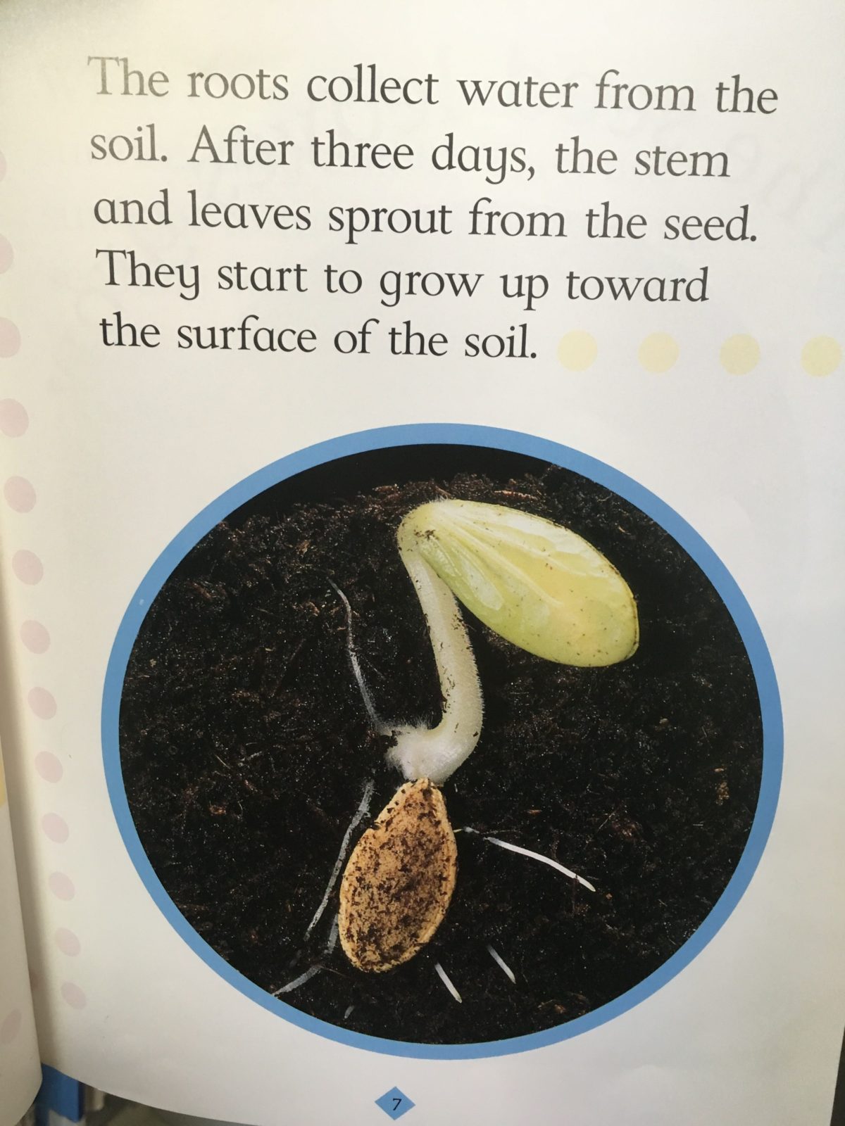 Garden-Themed Easter Basket Ideas for Kids To Celebrate Spring ⋆ The ...