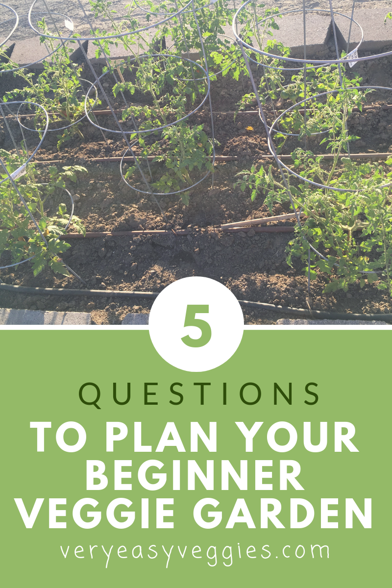 Beginner Garden Planning (5 Questions) ⋆ The Very Easy Veggie Garden