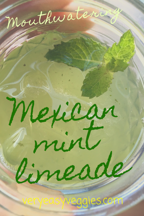 Fresh Mint Limeade ⋆ The Very Easy Veggie Garden