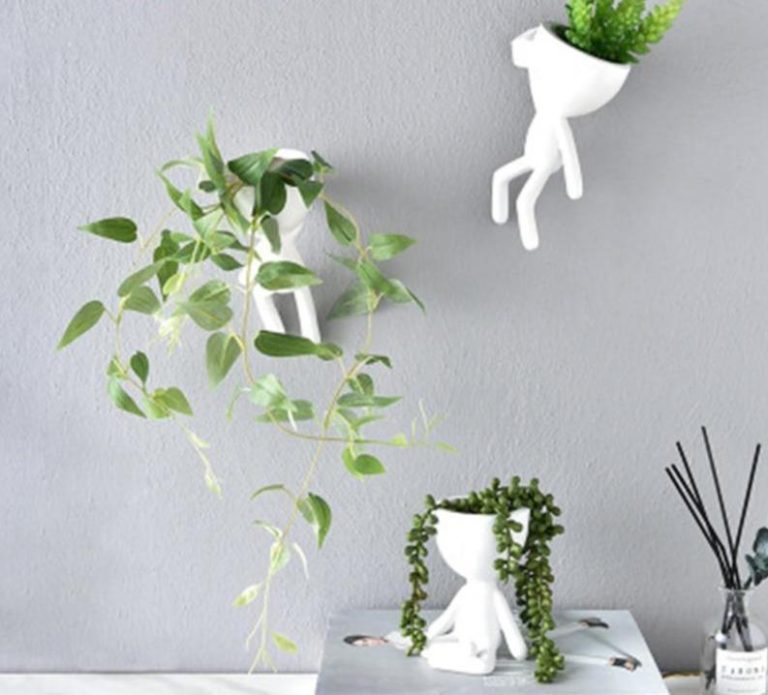 Unique Pots for Indoor Plants ⋆ The Very Easy Veggie Garden