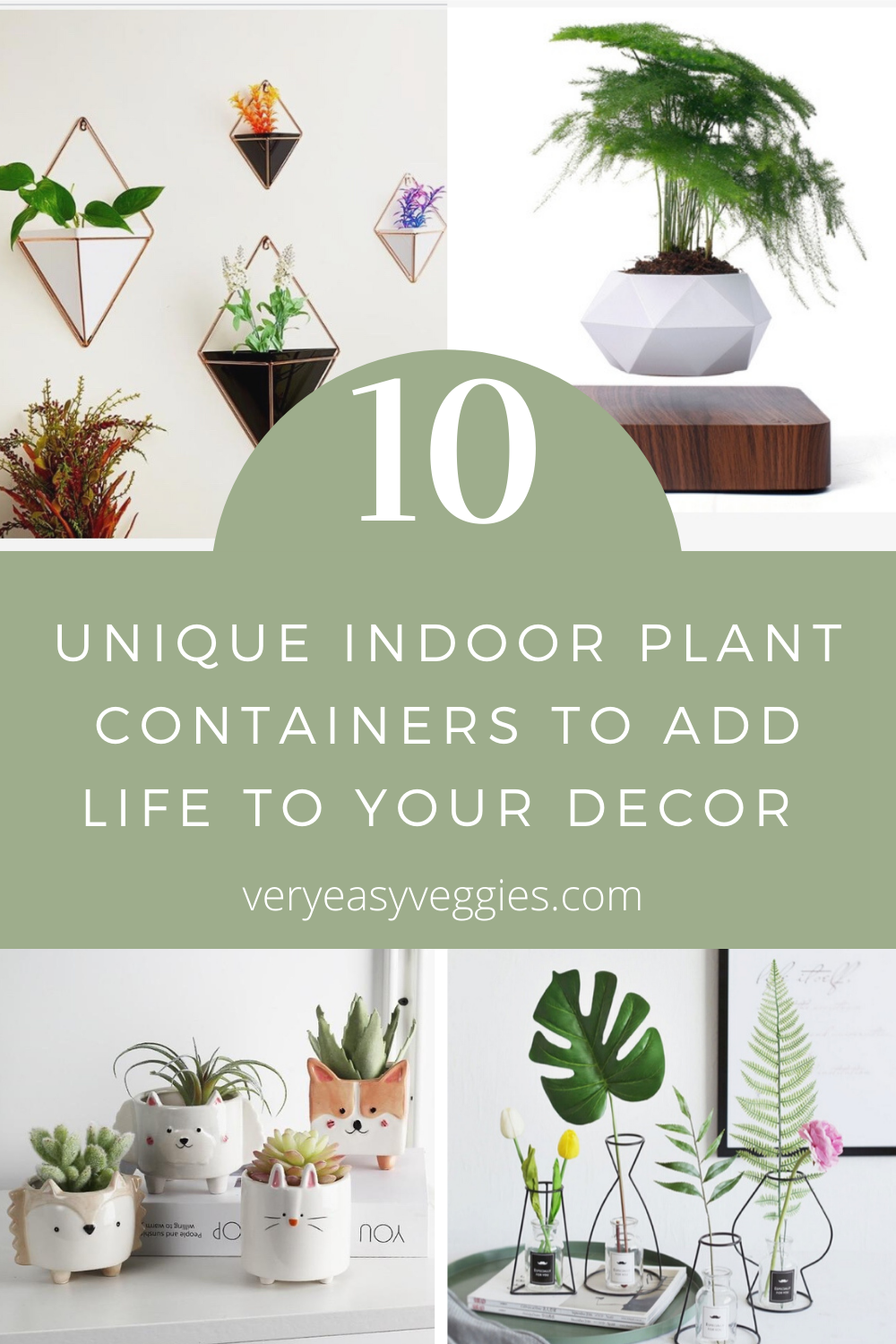 Unique Pots for Indoor Plants ⋆ The Very Easy Veggie Garden