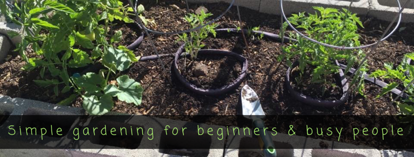 How to Start an In-Ground Garden ⋆ The Very Easy Veggie Garden